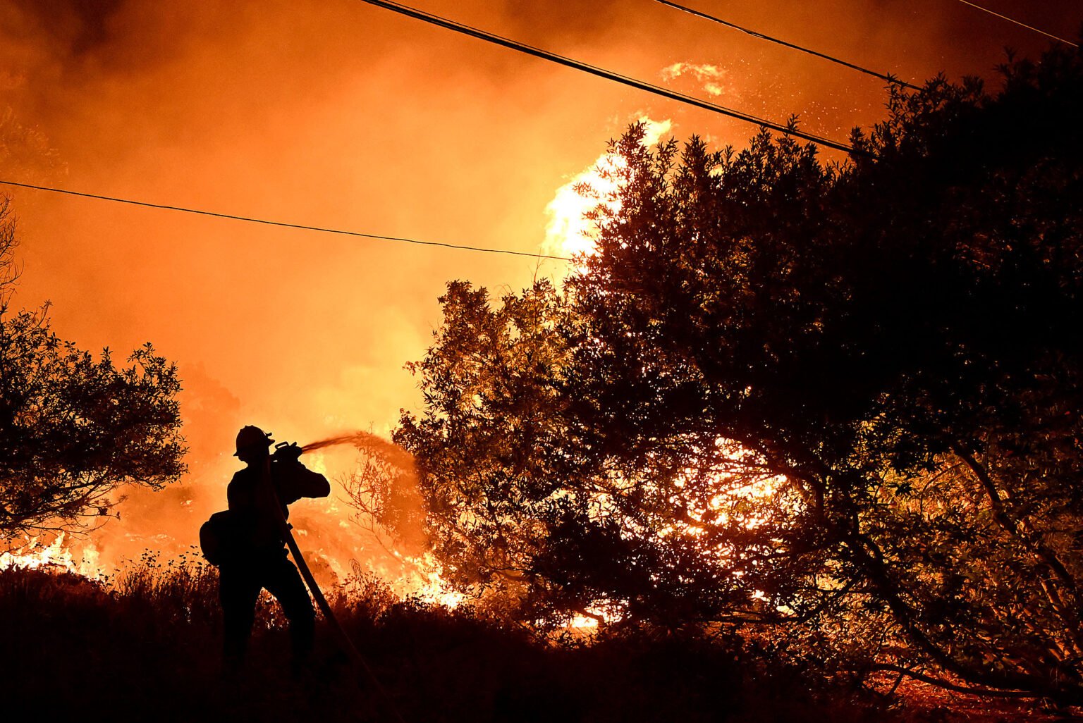 Here's what you need to know about the Airport, Bridge, and Line fires ...